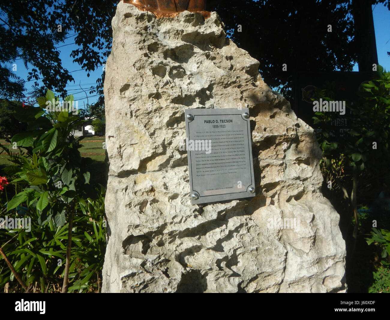Camp Tecson in Sibul Springs, San Miguel, Bulacan, is known for its ...