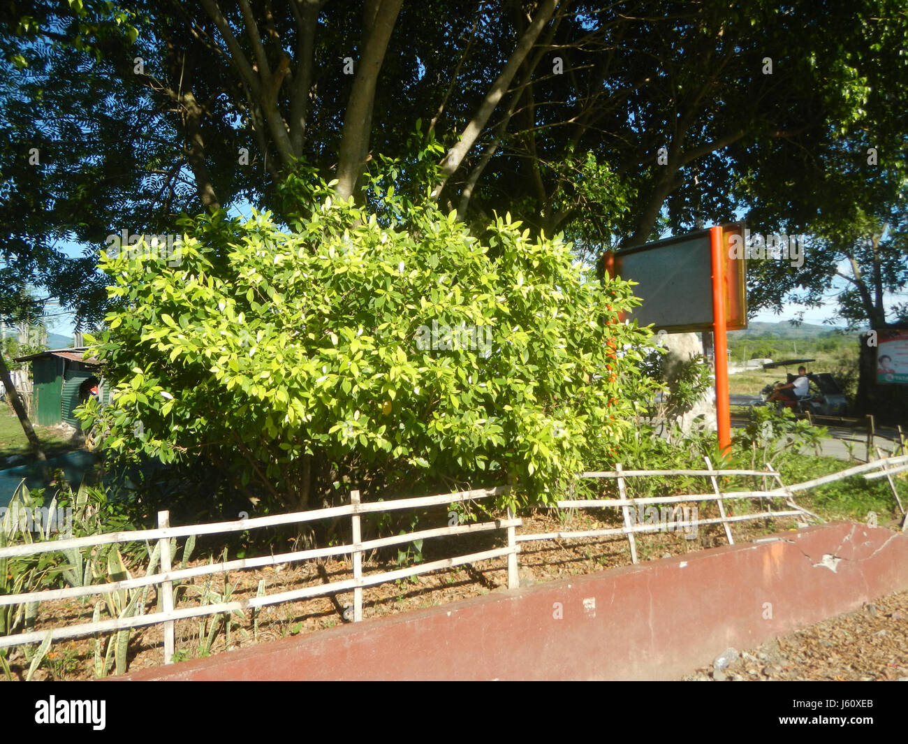 01991 Camp Tecson Sibul Springs, San Miguel, Bulacan 27 Stock Photo - Alamy