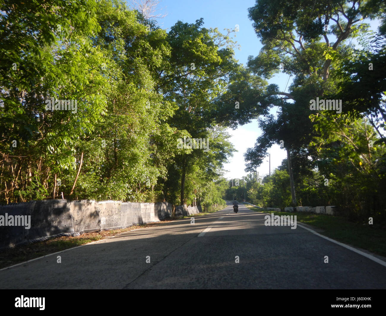This image shows the road along San Miguel Sibul in Bulacan ...