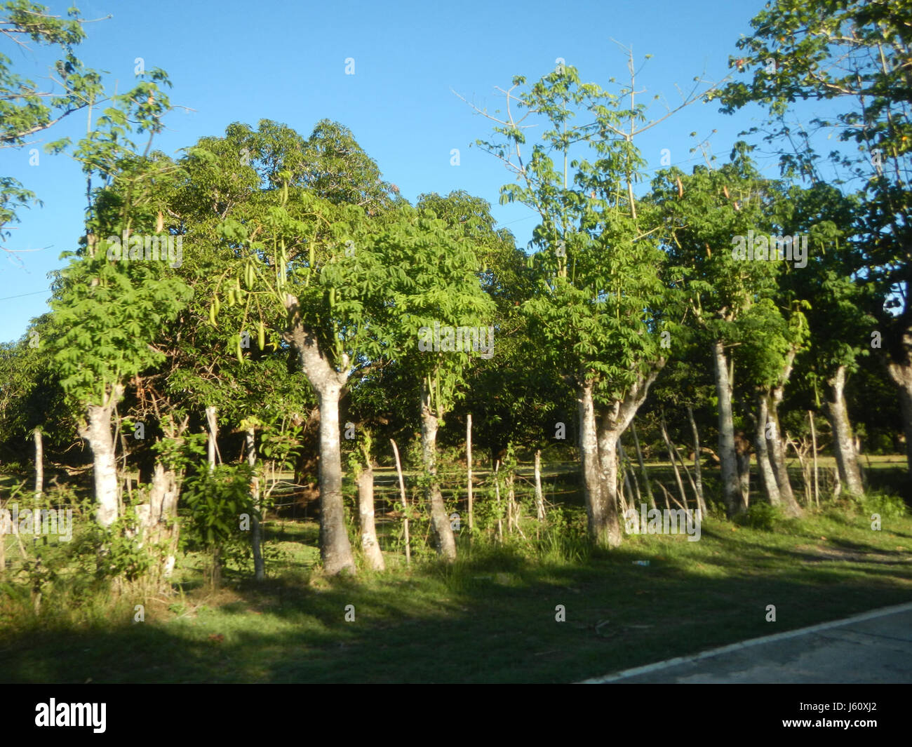 A reference to a specific location in Bulacan, Philippines, identified ...