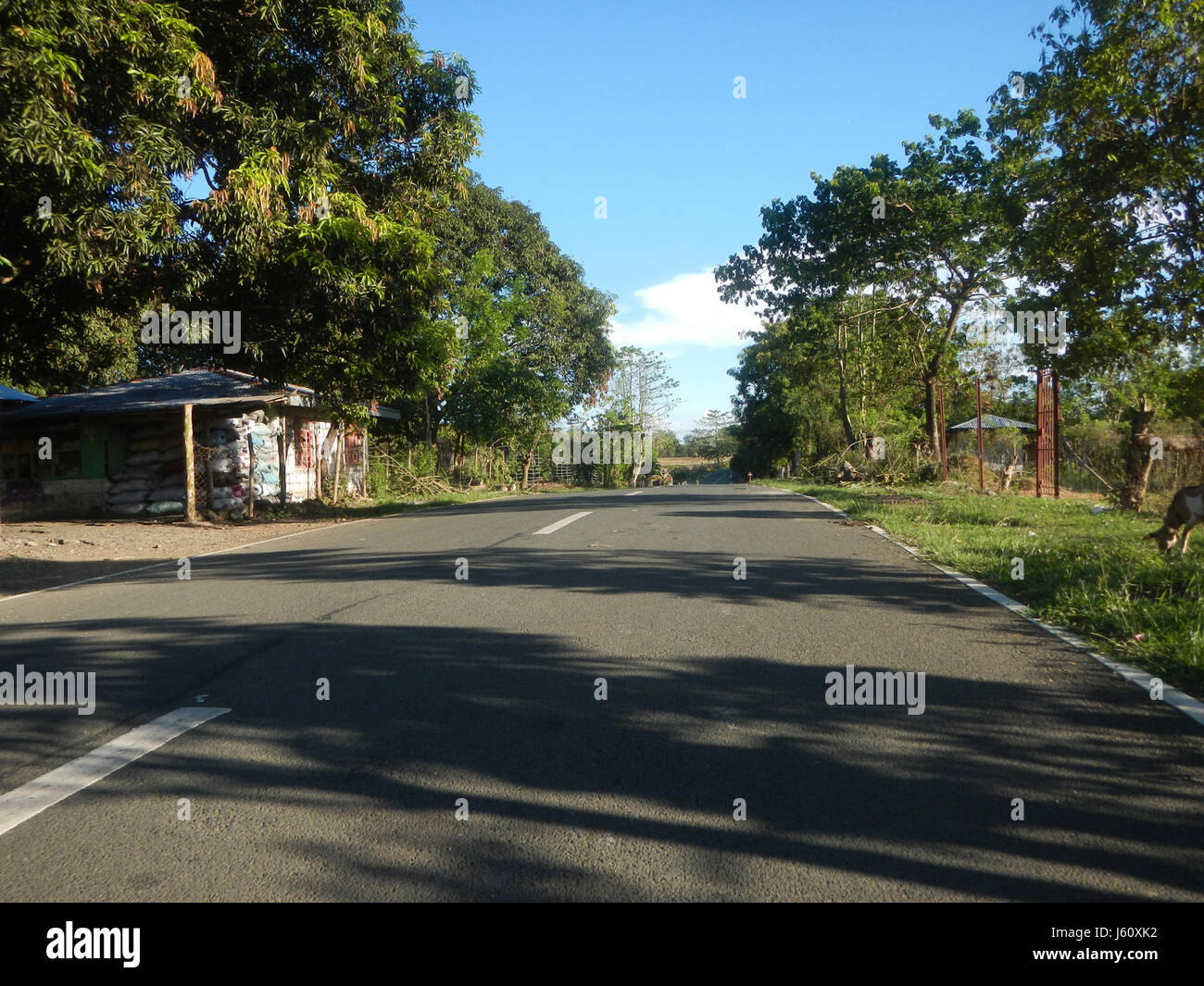 A description of the San Miguel Sibul Road in Bulacan, providing ...
