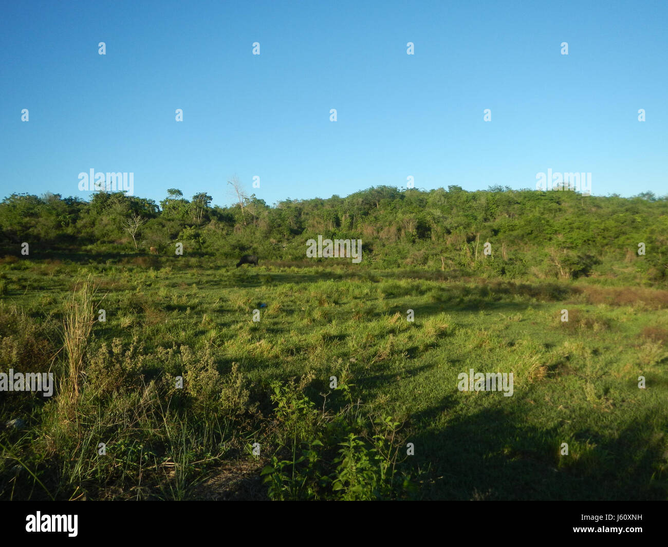 02346 San Miguel Sibul Road Bulacan 12 Stock Photo - Alamy