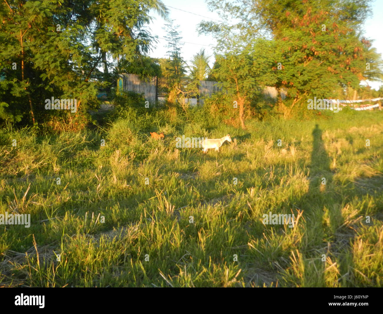 Nueva ecija map hi-res stock photography and images - Alamy