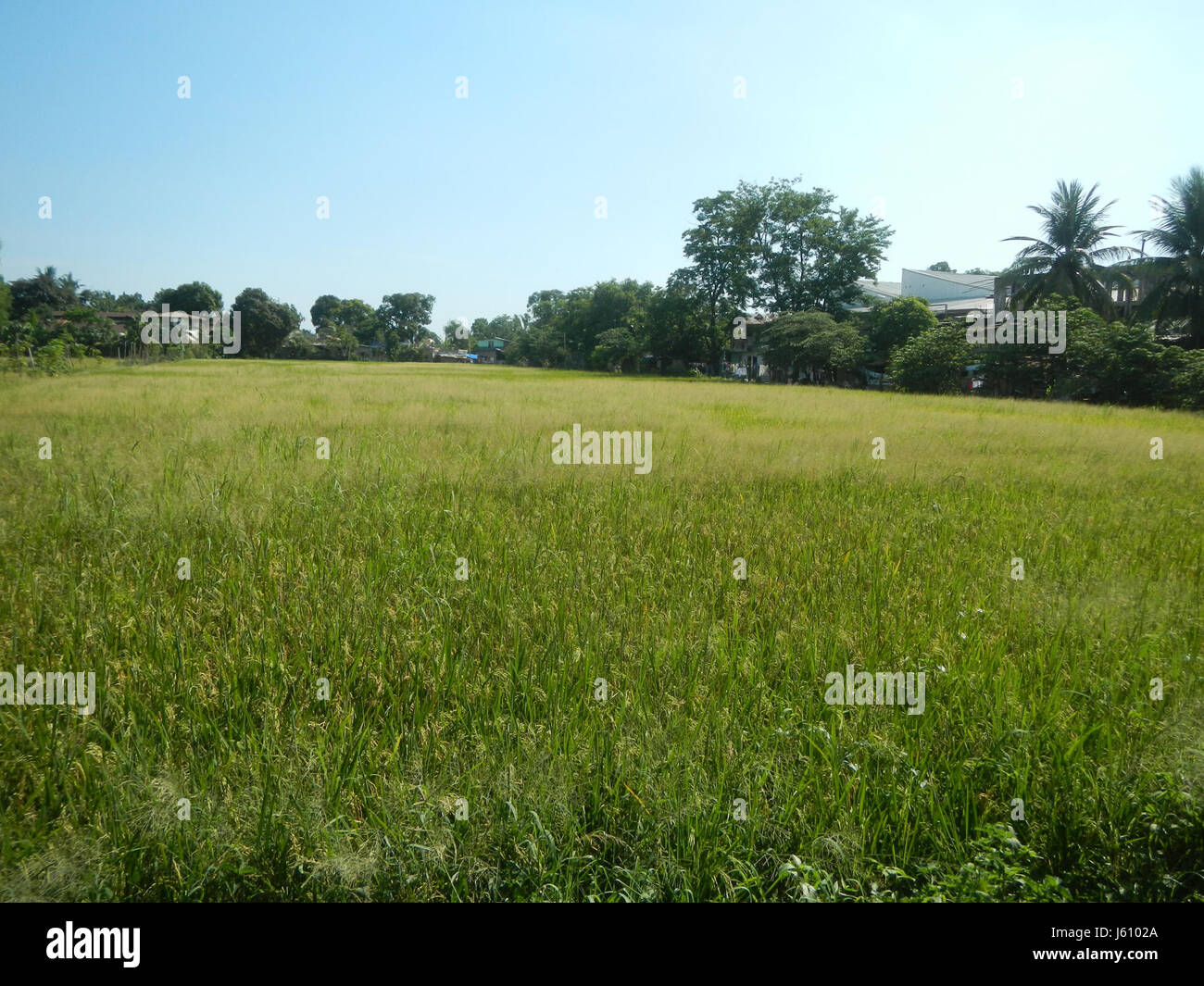 04233 Tabang Guiguinto San Francisco Bulacan Roads Landmarks 17 Stock ...