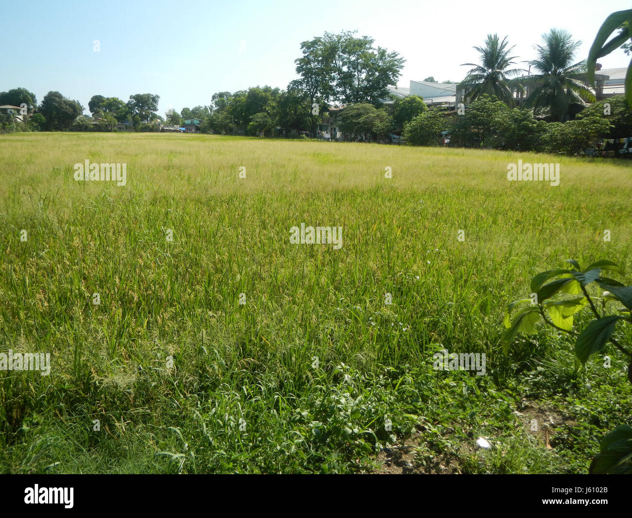 This image shows a view of the roads and landmarks in the area around ...
