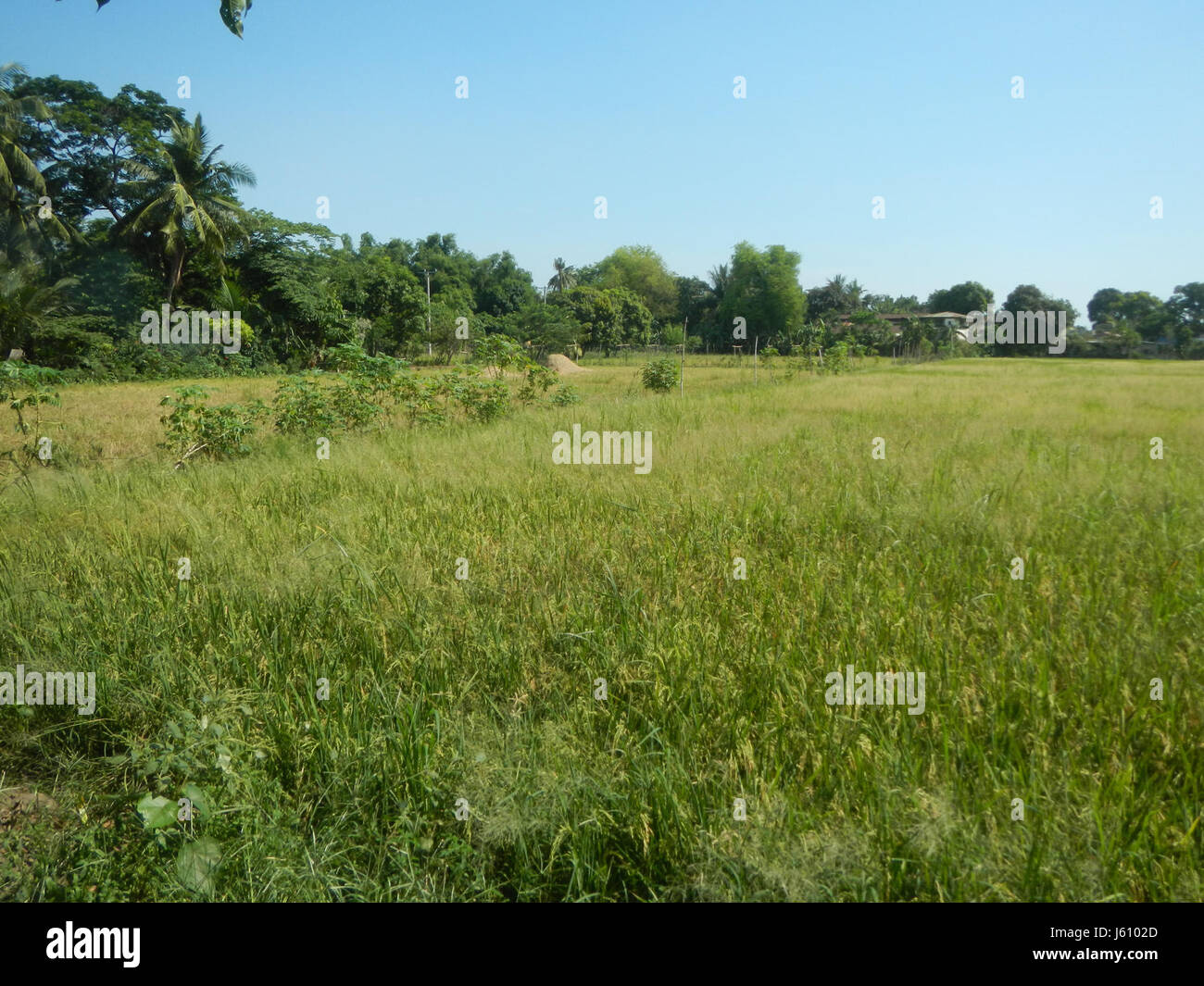04233 Tabang Guiguinto San Francisco Bulacan Roads Landmarks 19 Stock ...