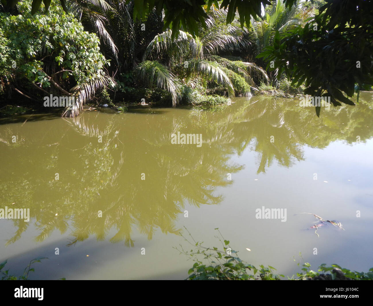 04305 hi-res stock photography and images - Alamy