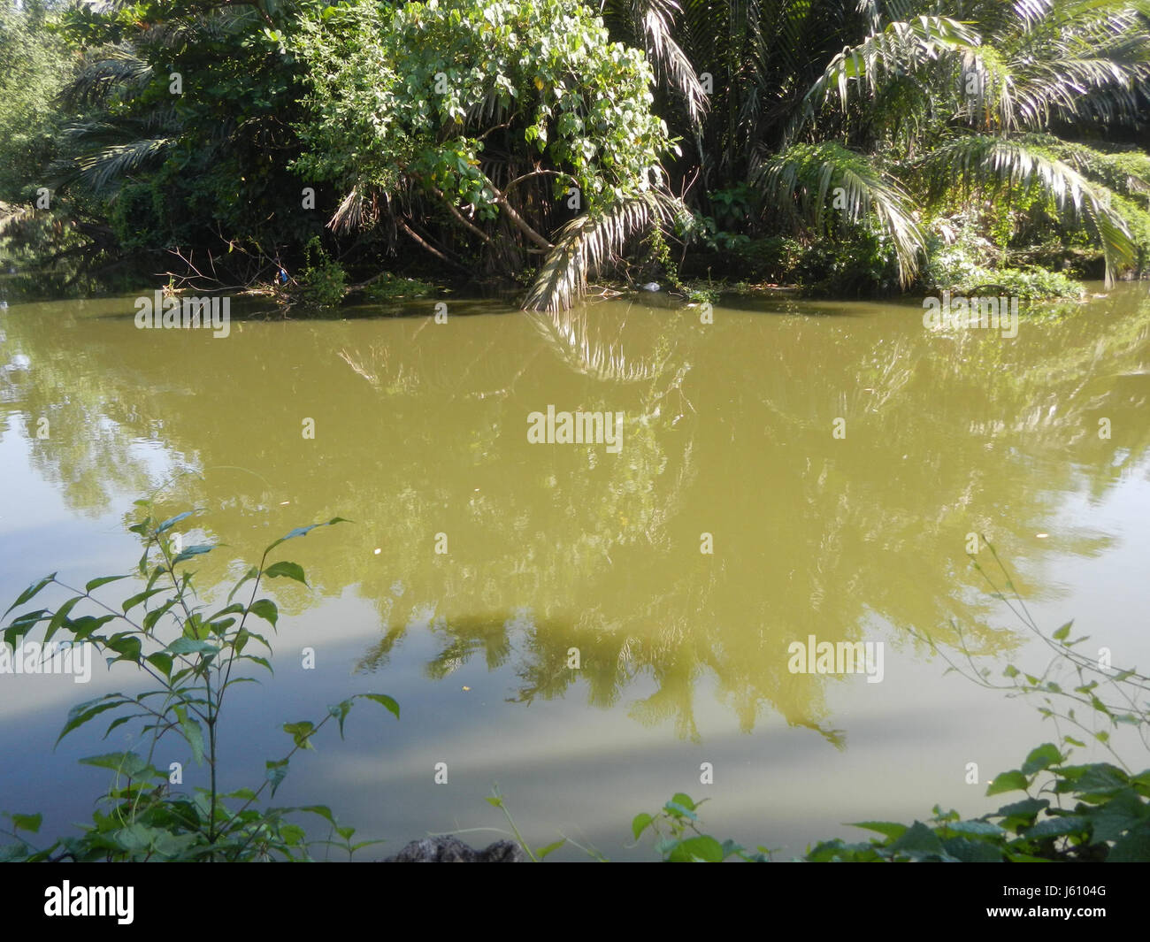04305 San Francisco Bulakan Bulacan Roads Rivers Landmarks 22 Stock ...