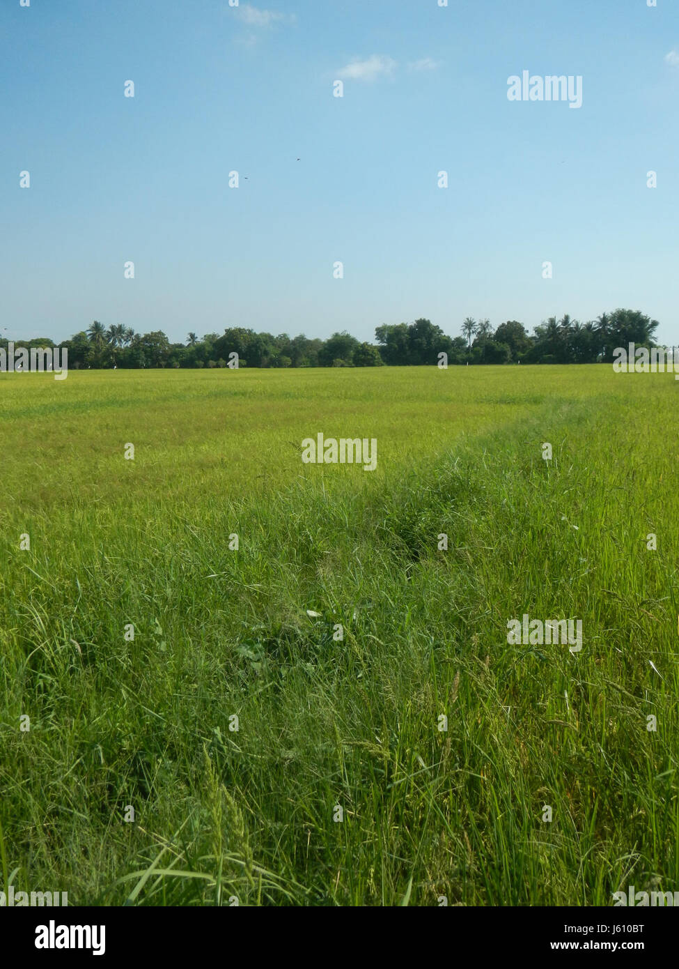 04514 Bulakan Bulacan Roads Market Center Landmarks 12 Stock Photo - Alamy