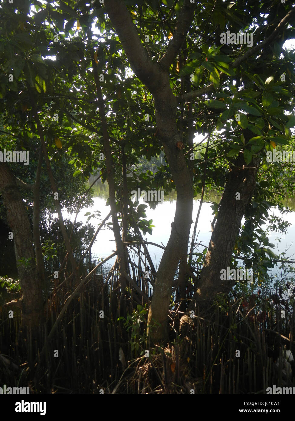 04866 Bulakan Bulacan Roads Villages Landmarks 36 Stock Photo - Alamy