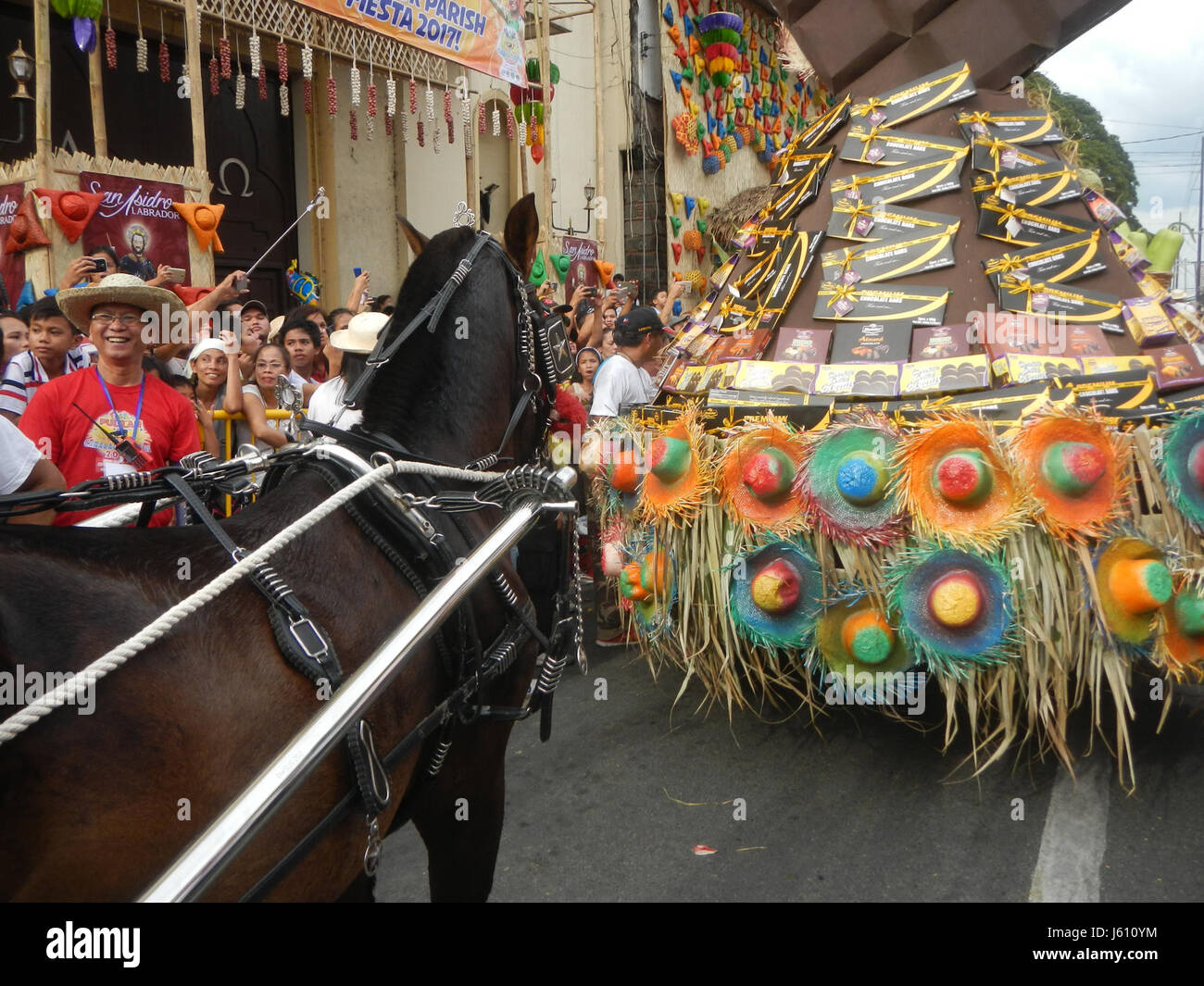 0012 San Isidro Labrador Parish Fiesta Pulilan Bulacan Carabao Kneeling ...