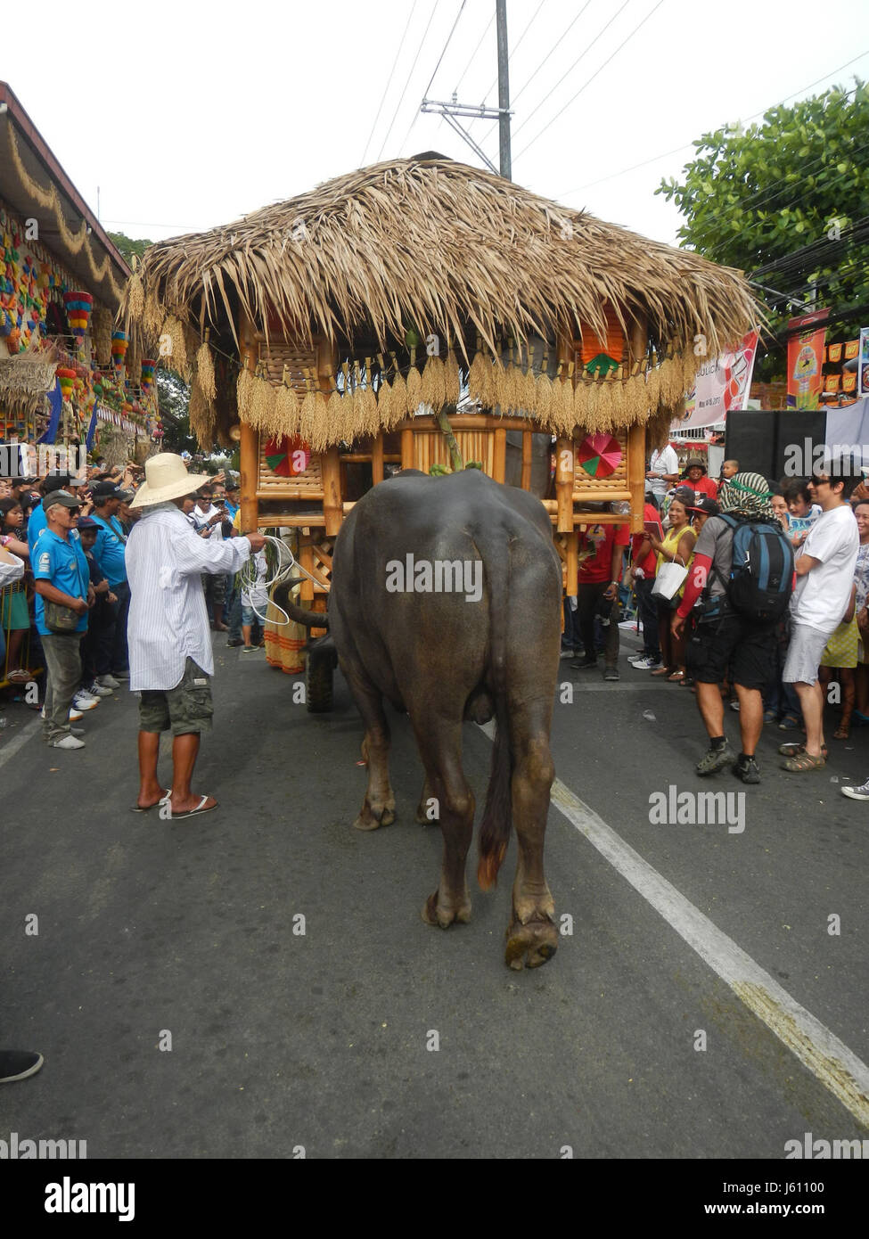 This image shows the 2017 Carabao Kneeling Festival at the San Isidro ...