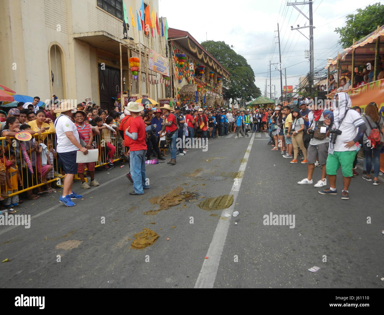 0012 San Isidro Labrador Parish Fiesta Pulilan Bulacan Carabao Kneeling ...
