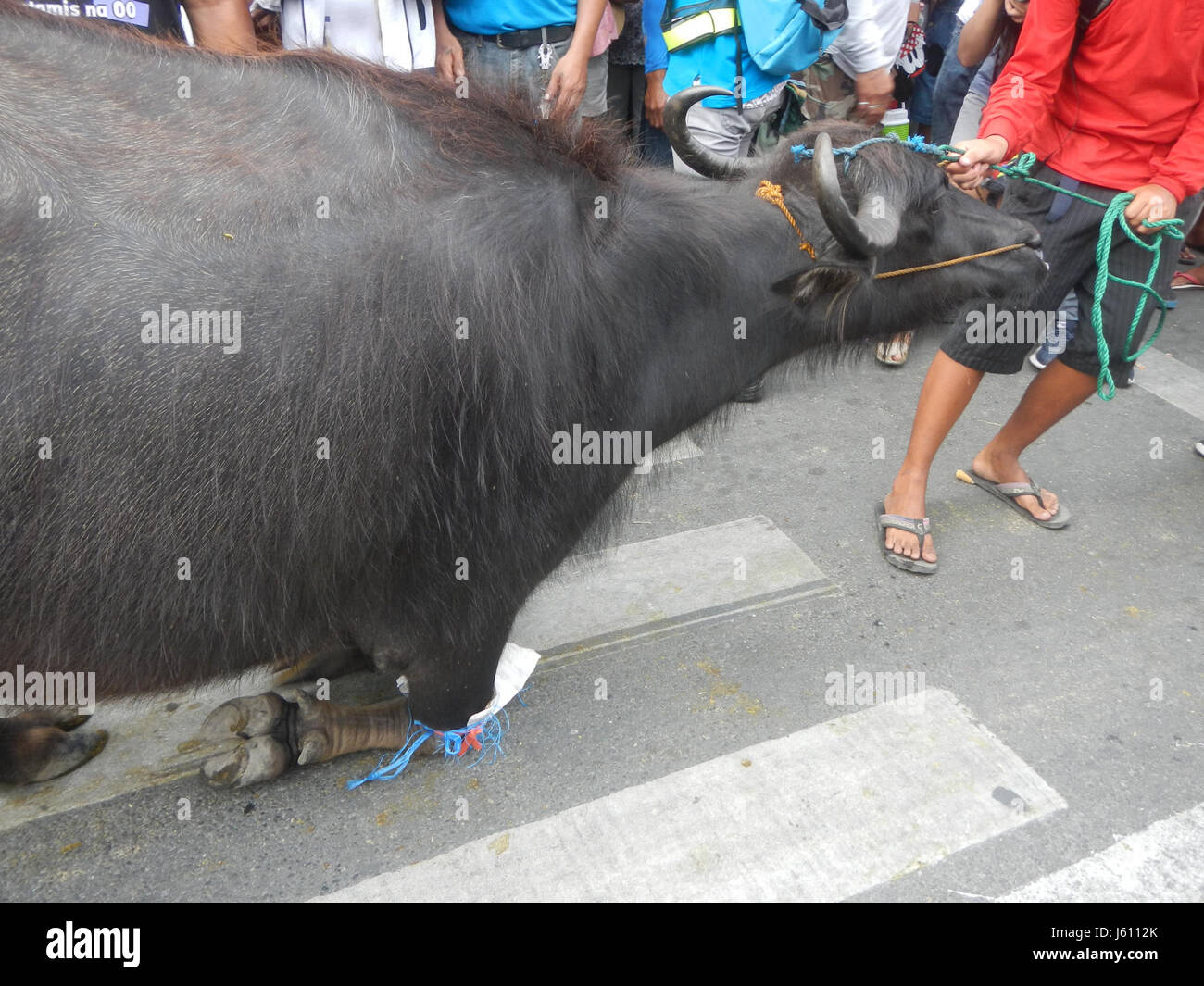 The San Isidro Labrador Parish Fiesta in Pulilan, Bulacan, is a ...