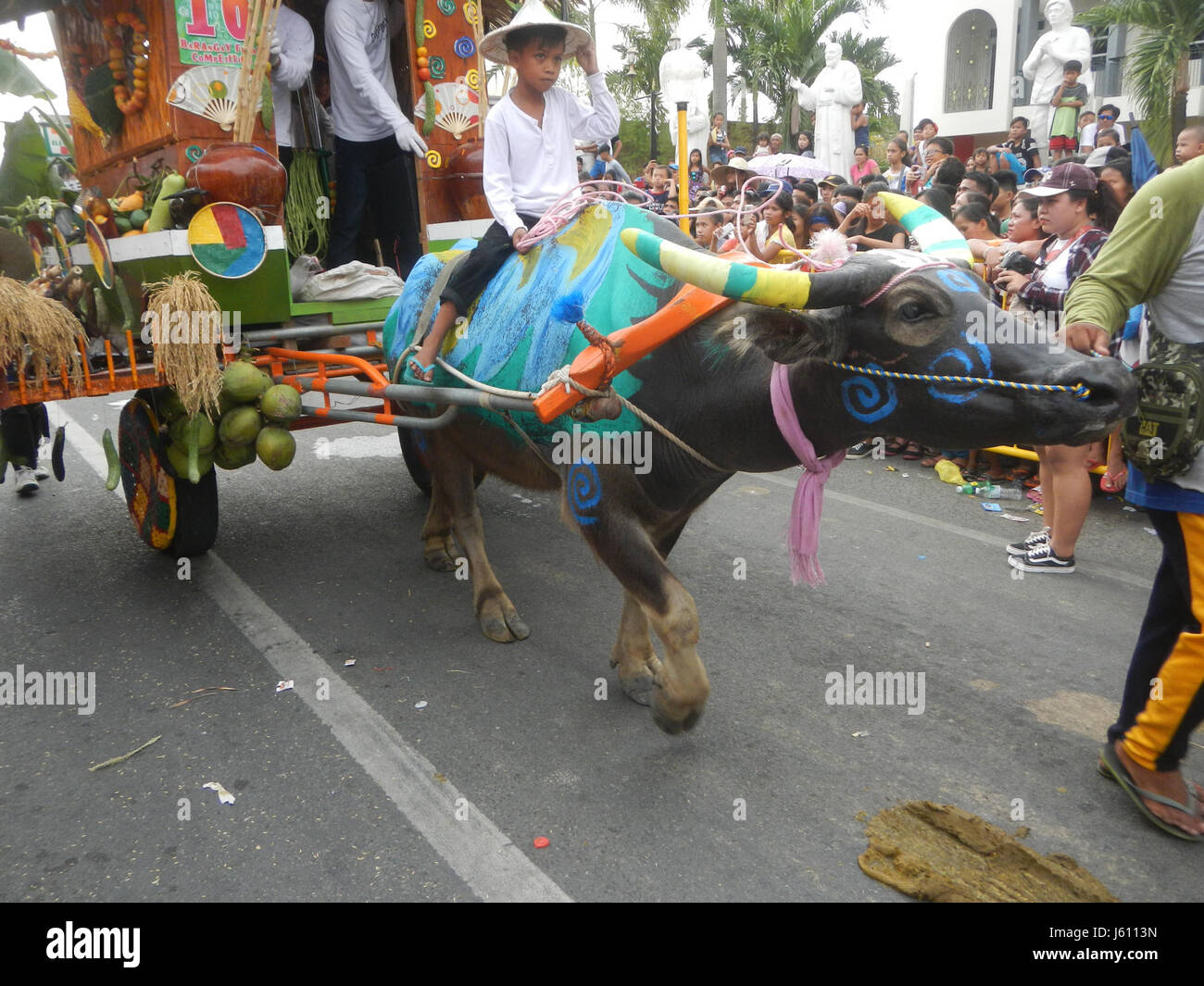 0113 San Isidro Labrador Parish Fiesta Pulilan Bulacan Carabao Kneeling ...