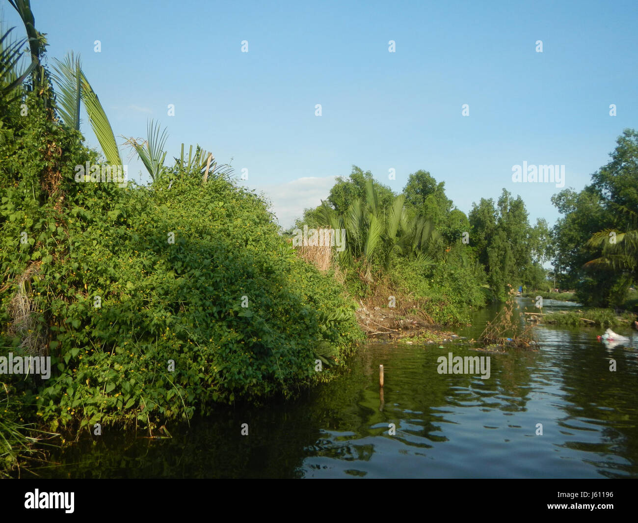 0149 Malolos River Districts City Nipa trees Bulacan Landmarks 28 Stock ...