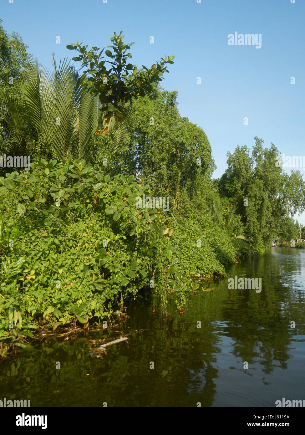 0149 Malolos River Districts City Nipa trees Bulacan Landmarks 32 Stock ...