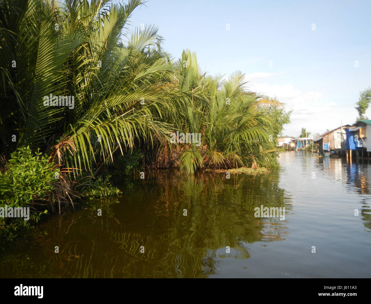 0149 Malolos River Districts City Nipa trees Bulacan Landmarks 49 Stock ...