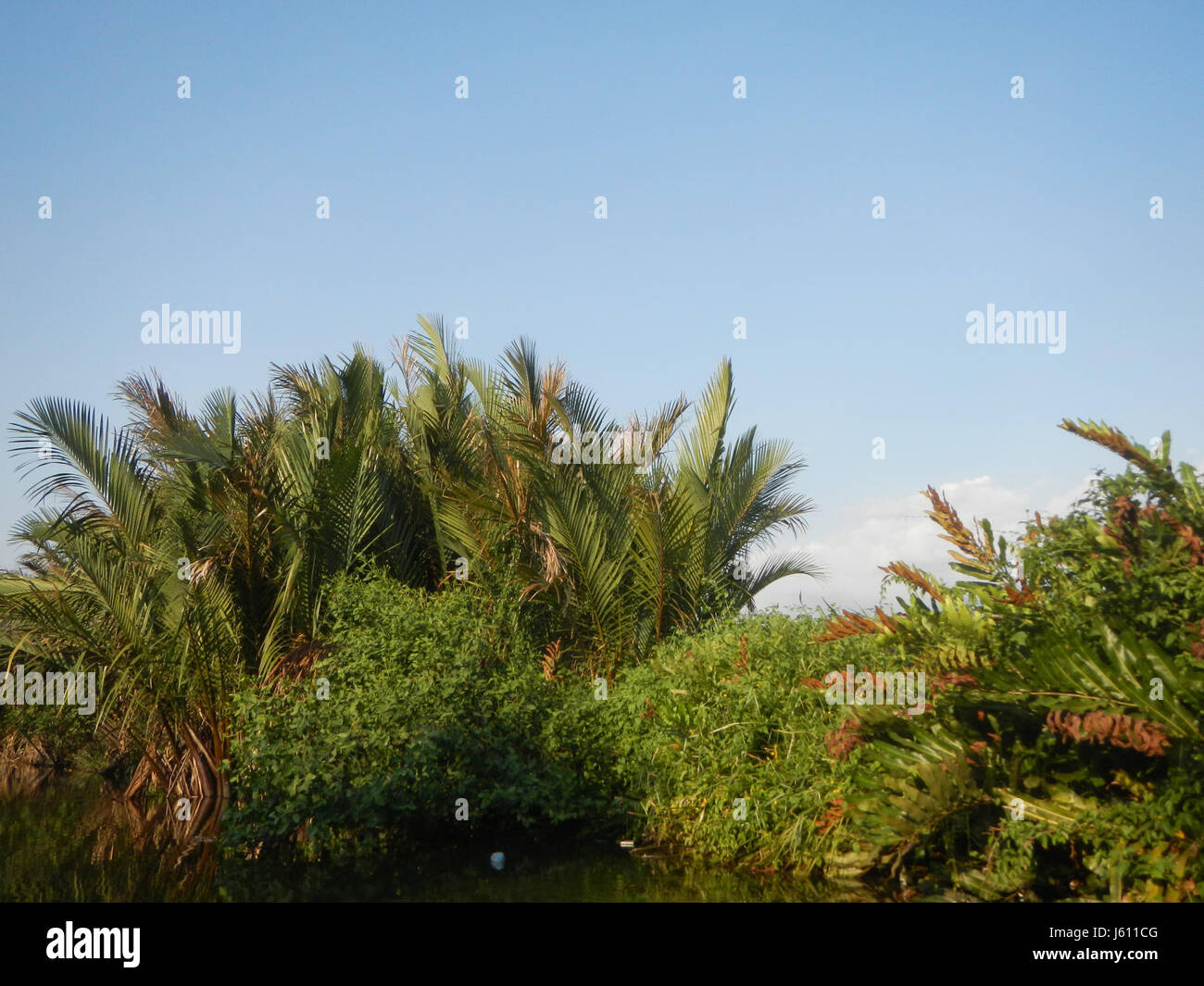 This title focuses on the Malolos River Districts, particularly the ...