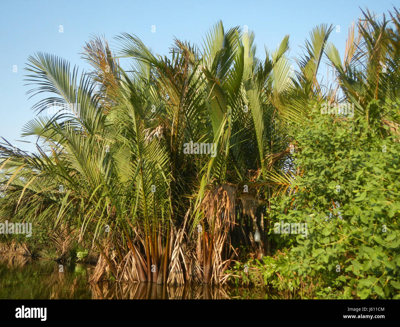 The image captures the Malolos River District in Bulacan, Philippines ...