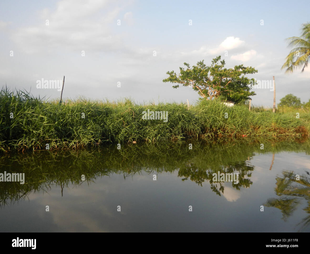 0098 Malolos River Districts City Nipa trees Bulacan Landmarks 28 Stock ...