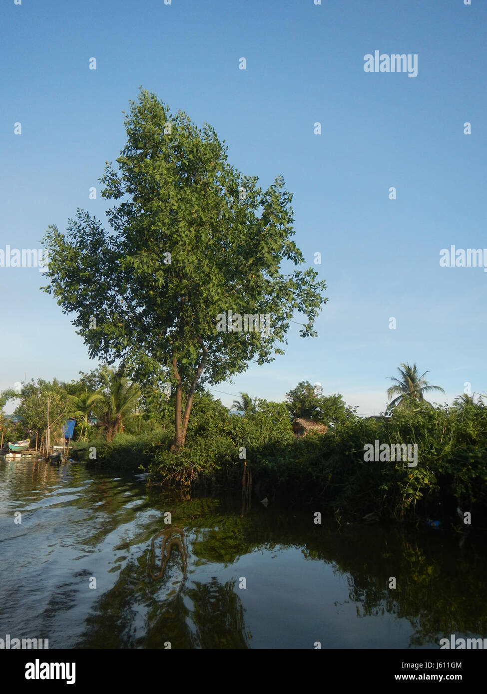 0149 Malolos River Districts City Nipa trees Bulacan Landmarks 14 Stock ...