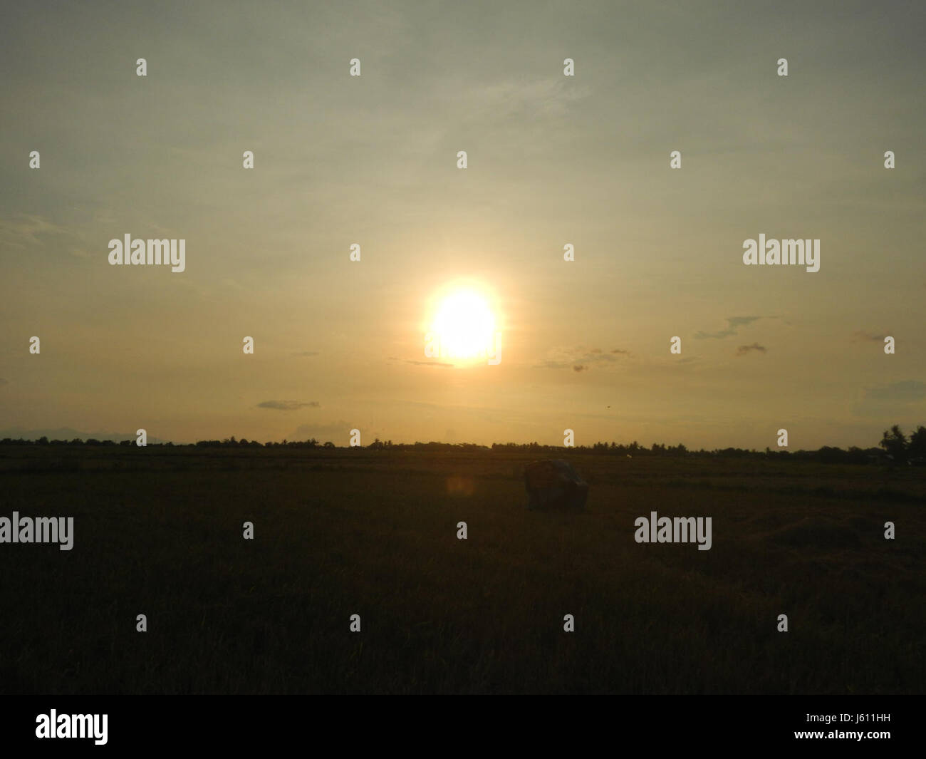 The image shows paddy fields in San Nicolas, located in Bulakan ...