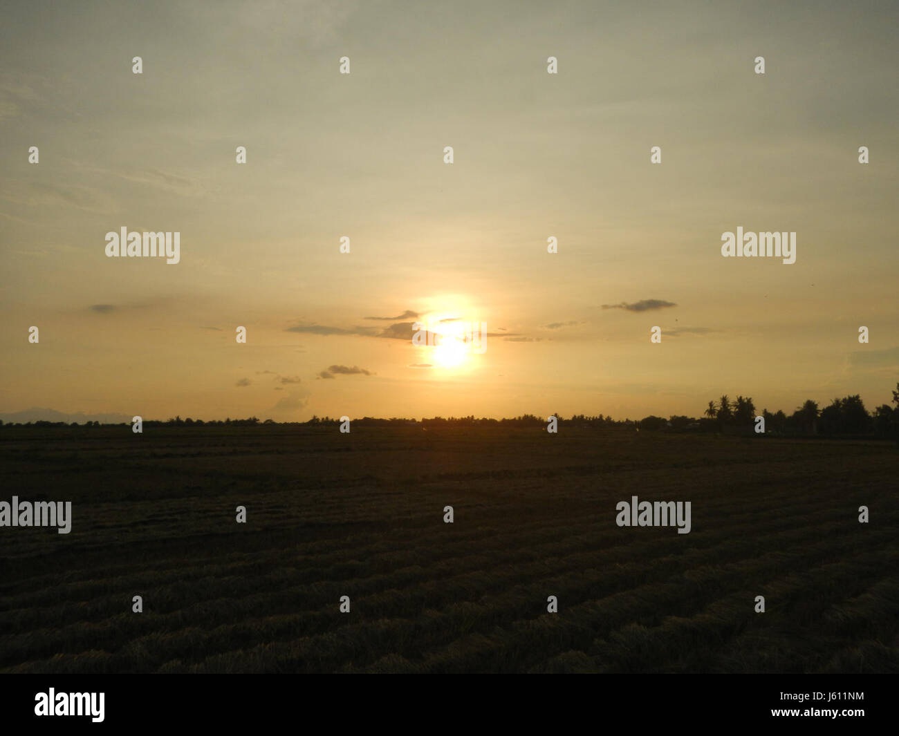 This image depicts the paddy fields in San Nicolas, Bulakan, Bulacan ...