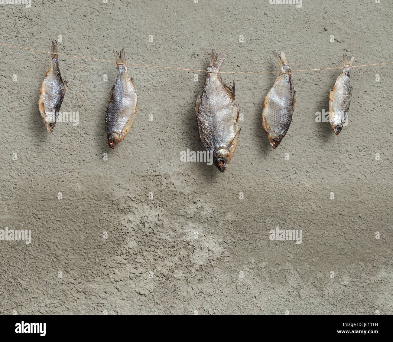 Taranka, Sun Dried Salty River Fish, Classic Beer Snack in Post Soviet ...