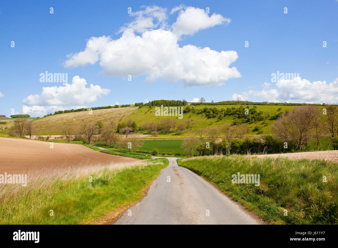 a country road going downhill through cultivated fields and pastures ...