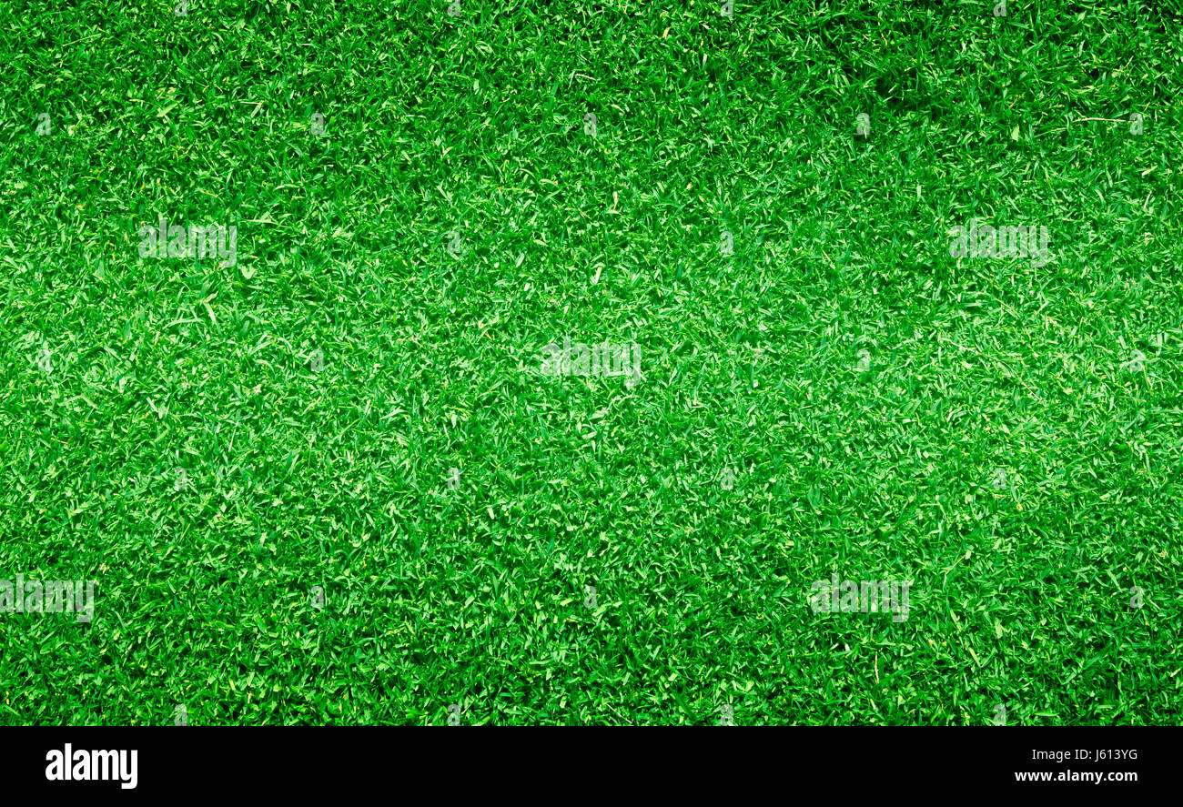 grass background Golf Courses green lawn pattern textured background ...