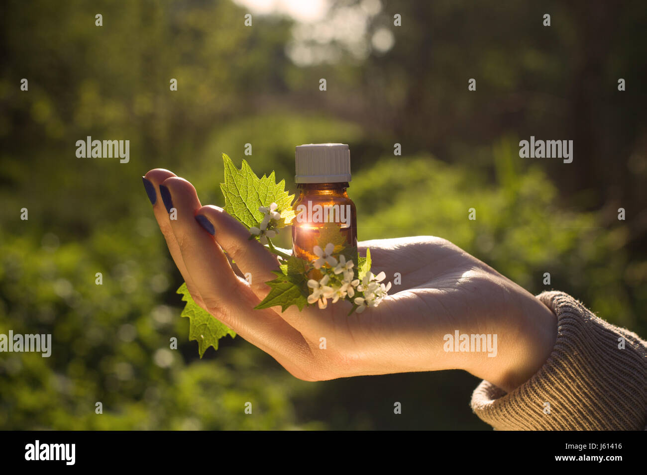 Natural medicine - herbal > Natural remedies - medicines Stock Photo ...