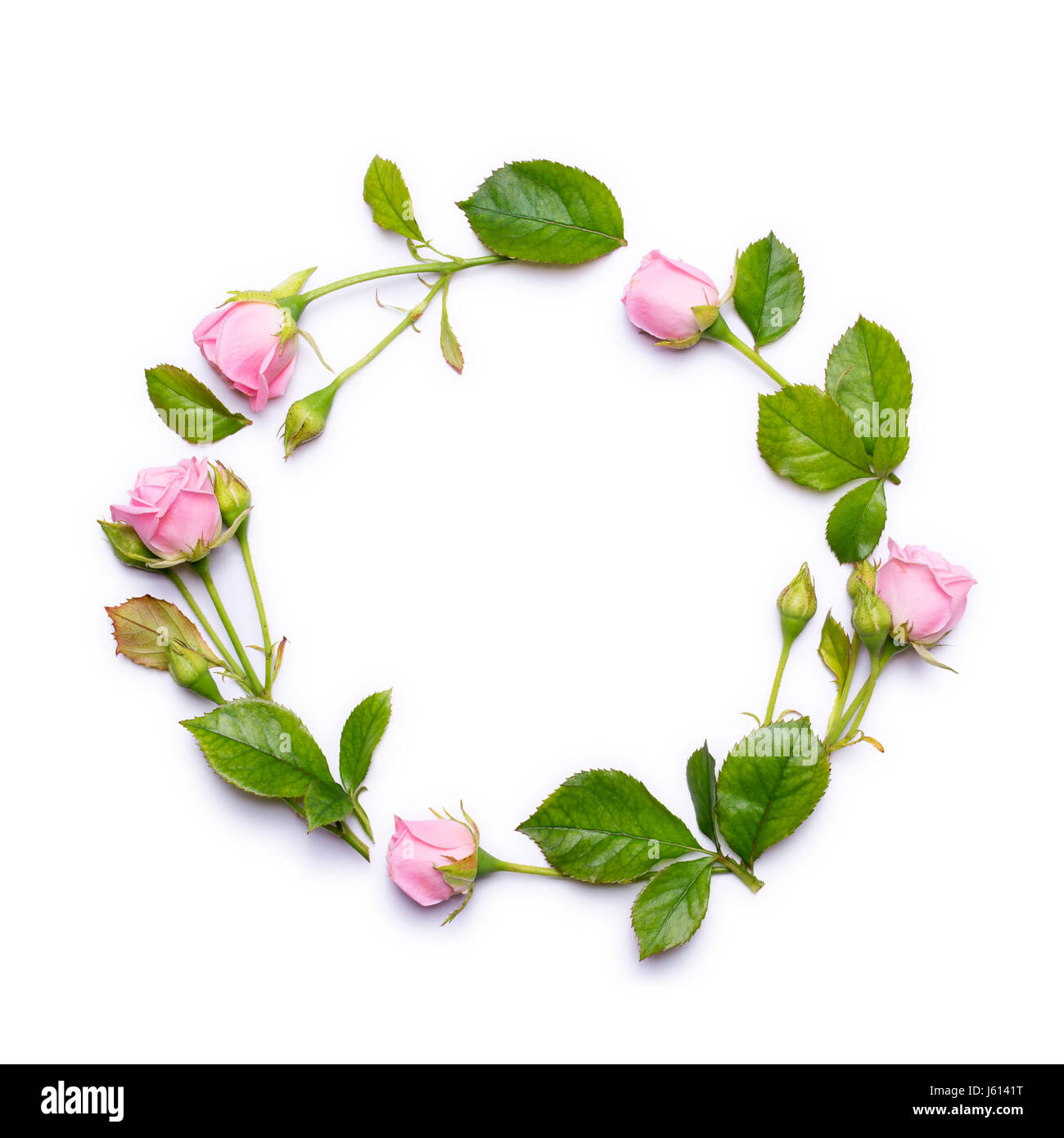 Round frame of delicate flowers. Pink roses isolated on white ...