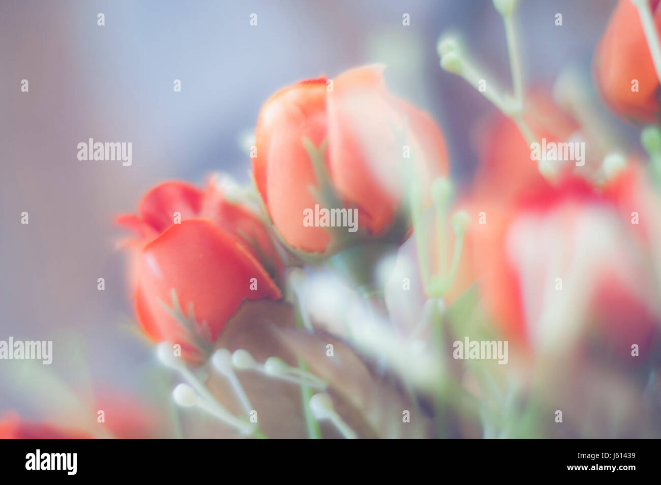 Plastic petals hi-res stock photography and images - Alamy