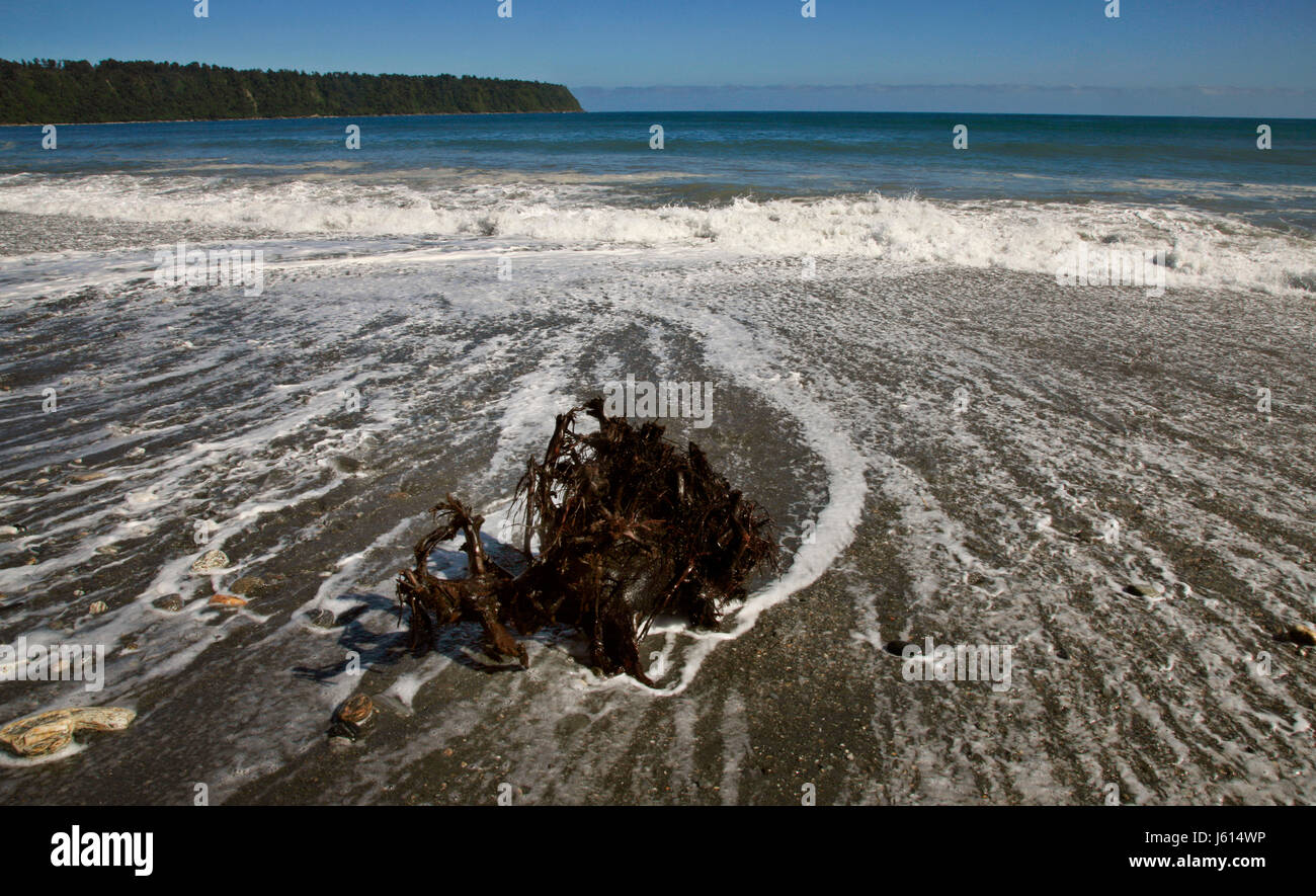Ocean View New Zealand South Island West Coast Stock Photo - Alamy