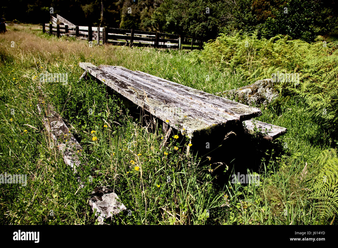 Jackson Bay New Zealand weathered Picnic Table Stock Photo - Alamy