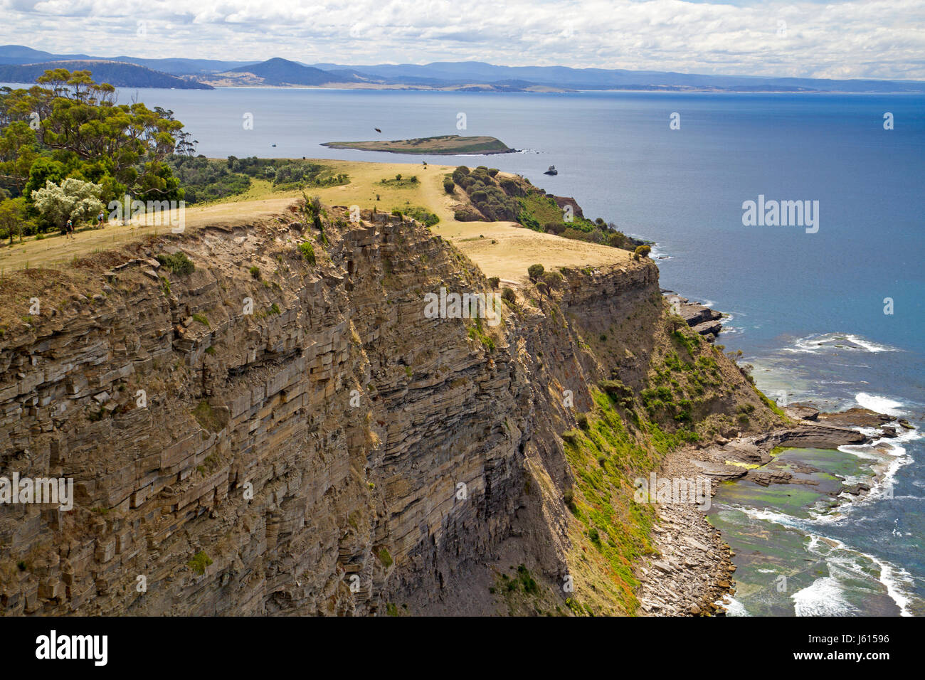 The Fossil Cliffs on Maria Island Stock Photo - Alamy