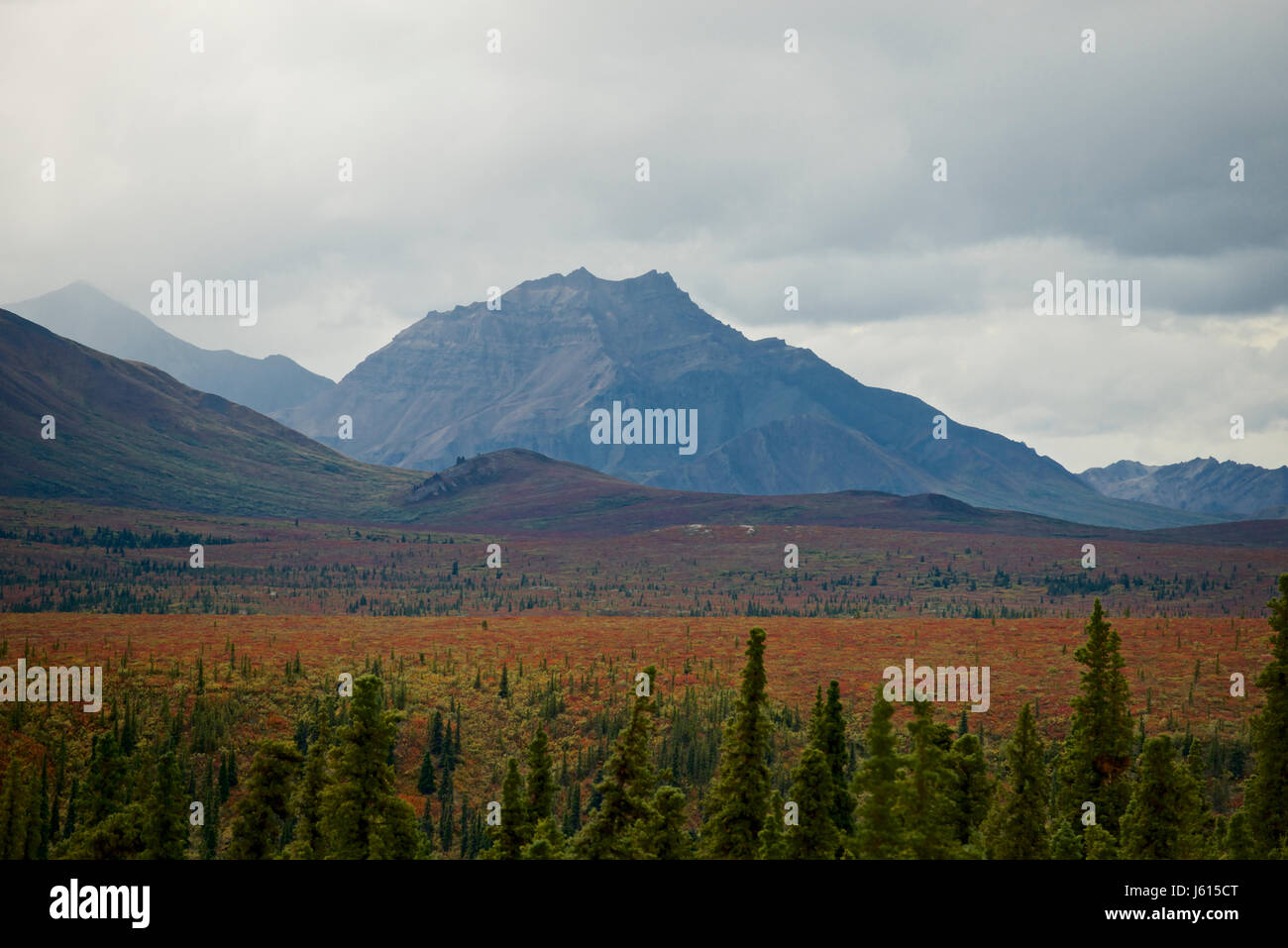 Denali National Park, Alaska shows off its fall colors Stock Photo - Alamy