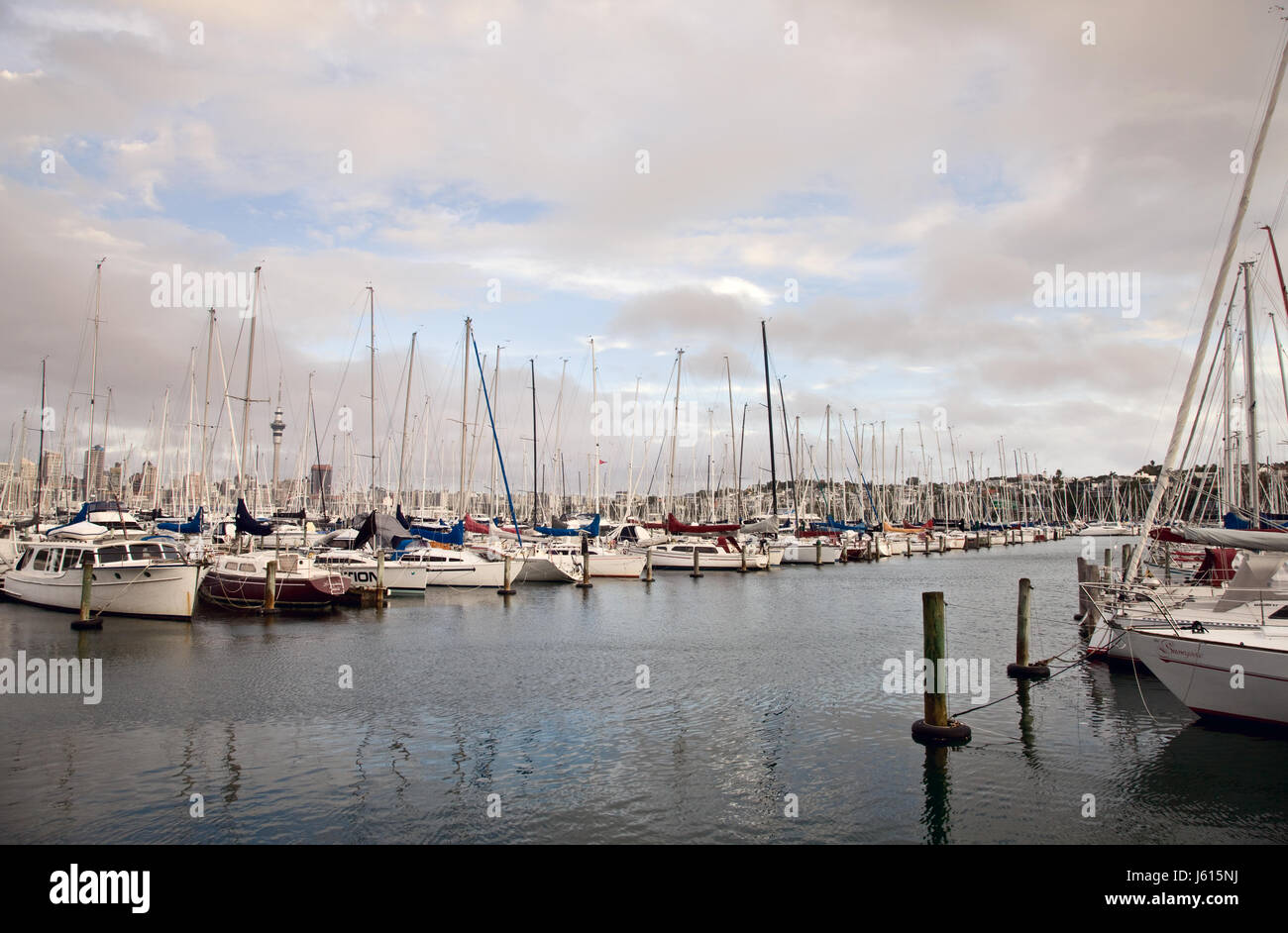 Auckland New Zealand City View Urban Downtown Stock Photo - Alamy