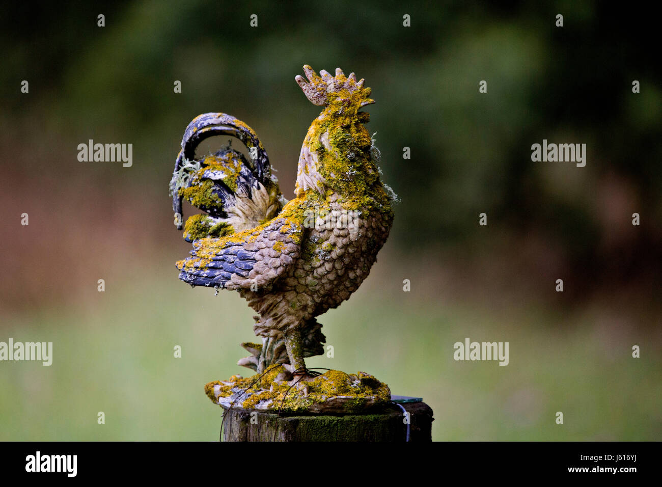 Old Rooster Statue Chicken weathered antique vintage Stock Photo - Alamy