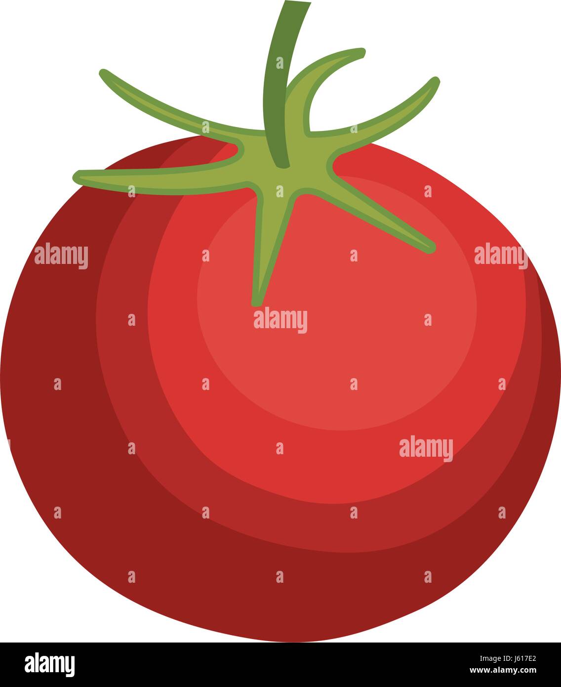 fresh tomate vegetable icon Stock Vector Image & Art - Alamy