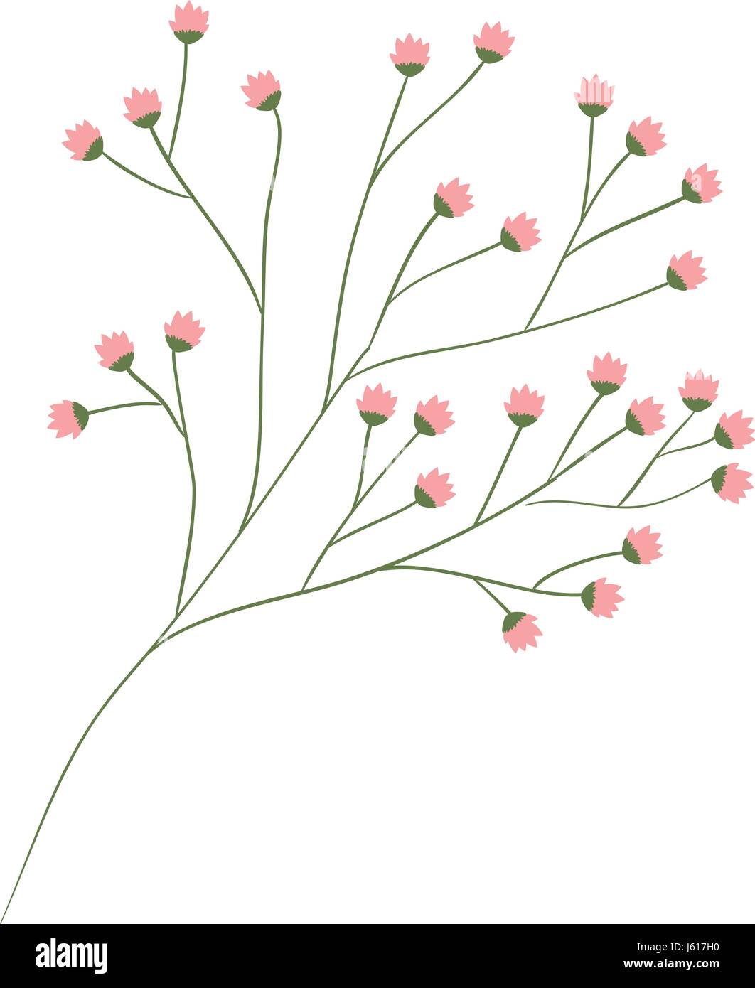 leafs plant decorative icon Stock Vector Image & Art - Alamy