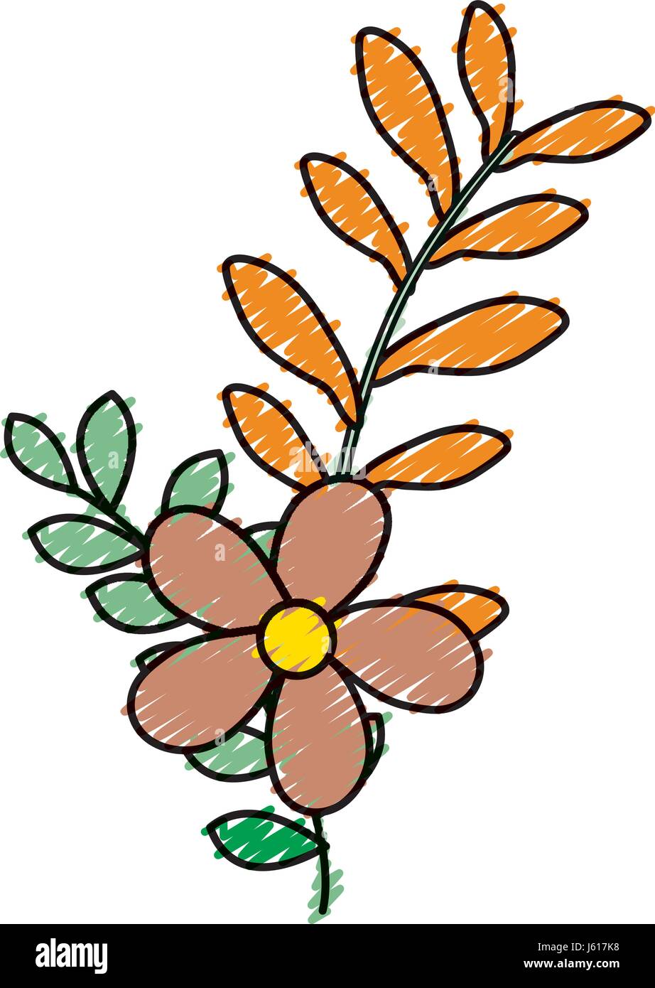 beautiful Flower decoration icon Stock Vector Image & Art - Alamy