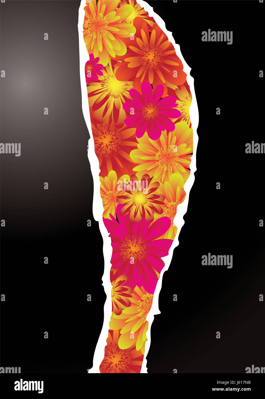 petal abstract rip torn tear backdrop background floral teardrop model ...