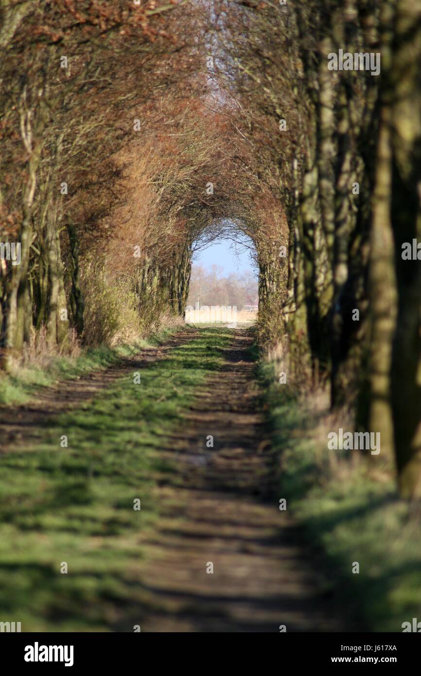 goal passage gate archgway gantry tunnel avenue archway shaddow shadow ...