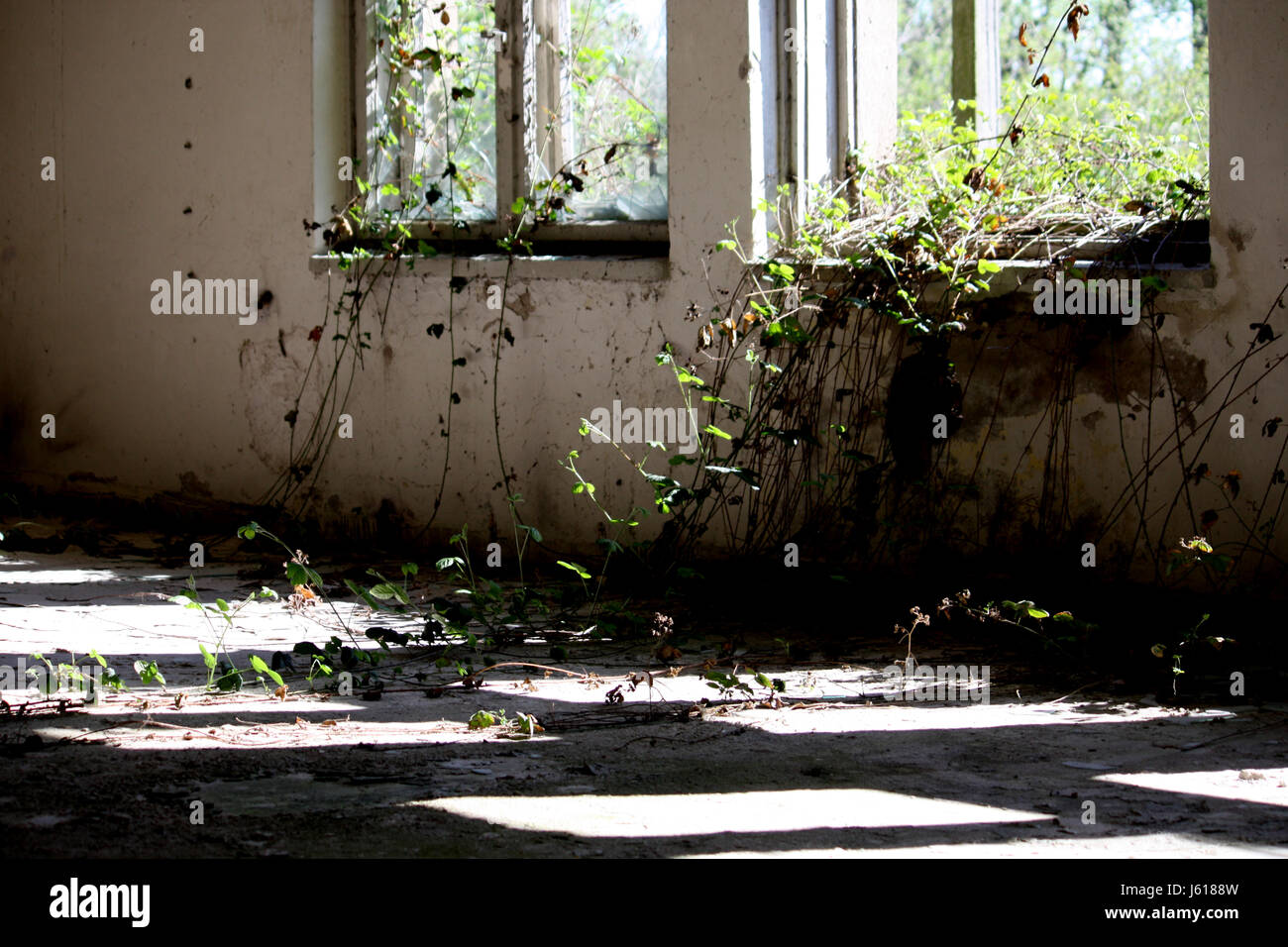 house building window porthole dormer window pane room ailing dismal ...