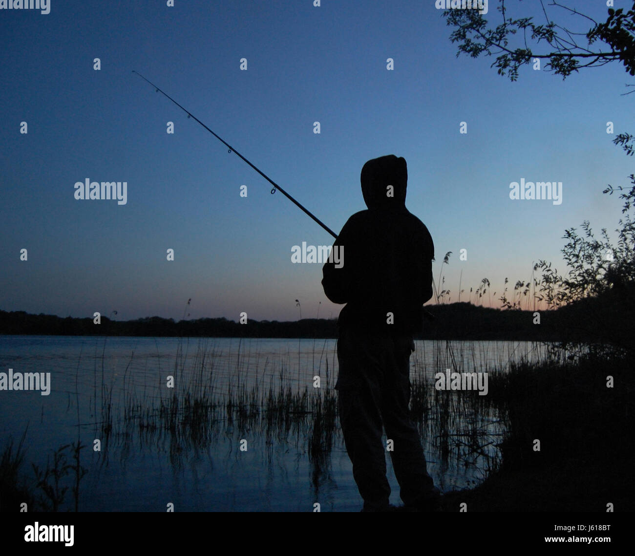 fish angle fishing rod fresh water lake inland water water bank shore ...