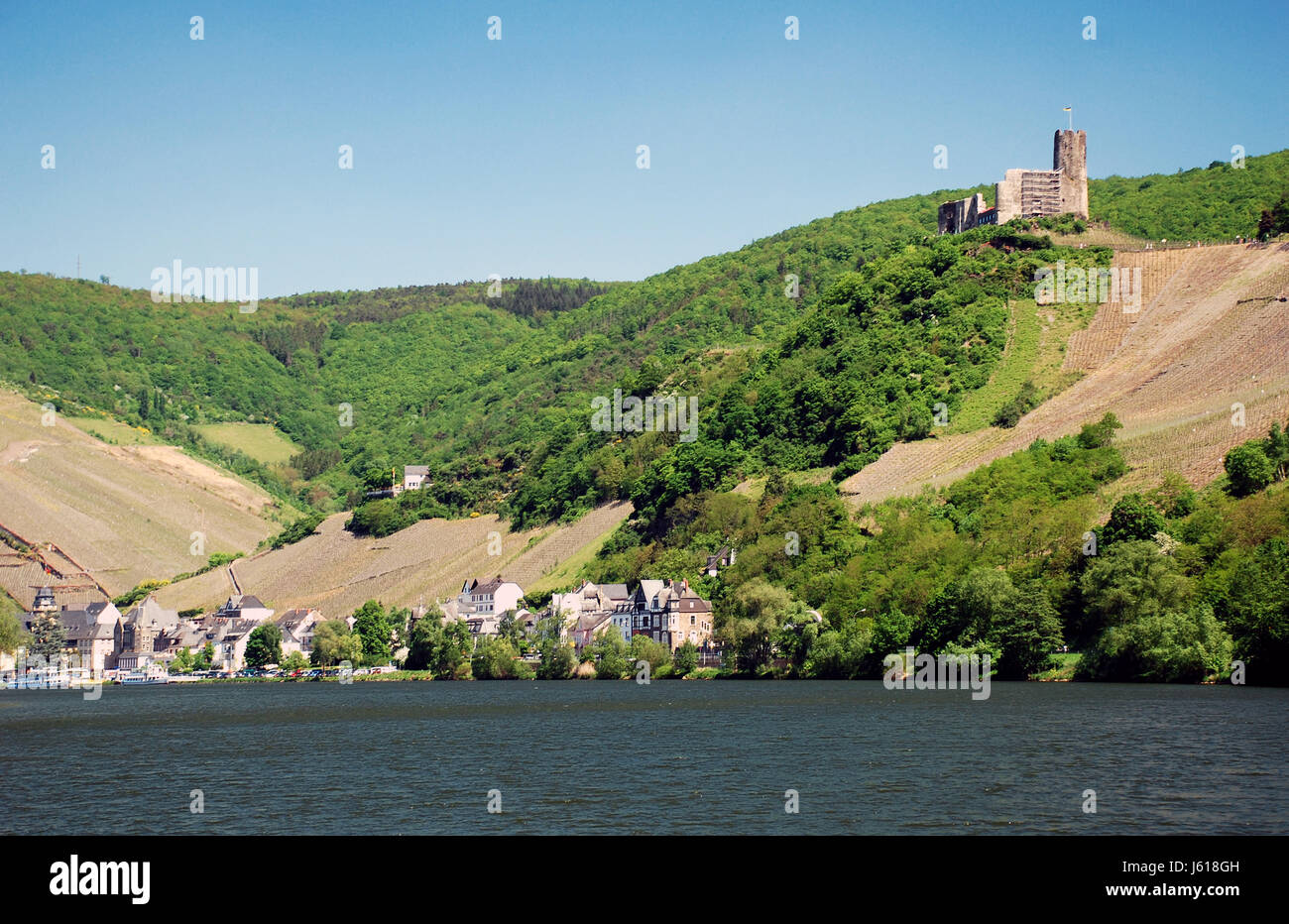 vineyard mosel castle vine grape vine grape-vine chateau cultivation of ...