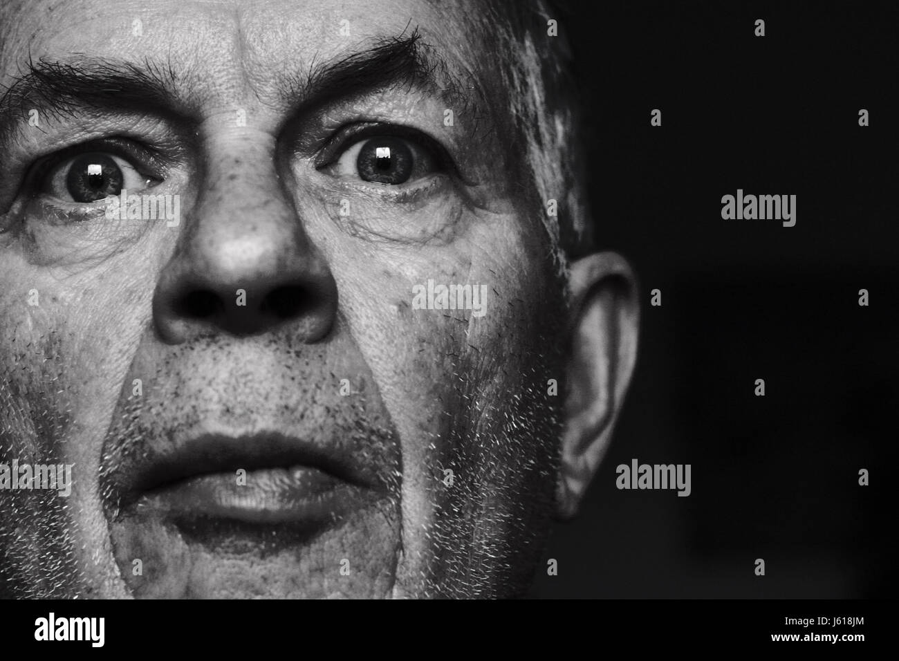 earnest eyes look glancing see view looking peeking looking at man ...