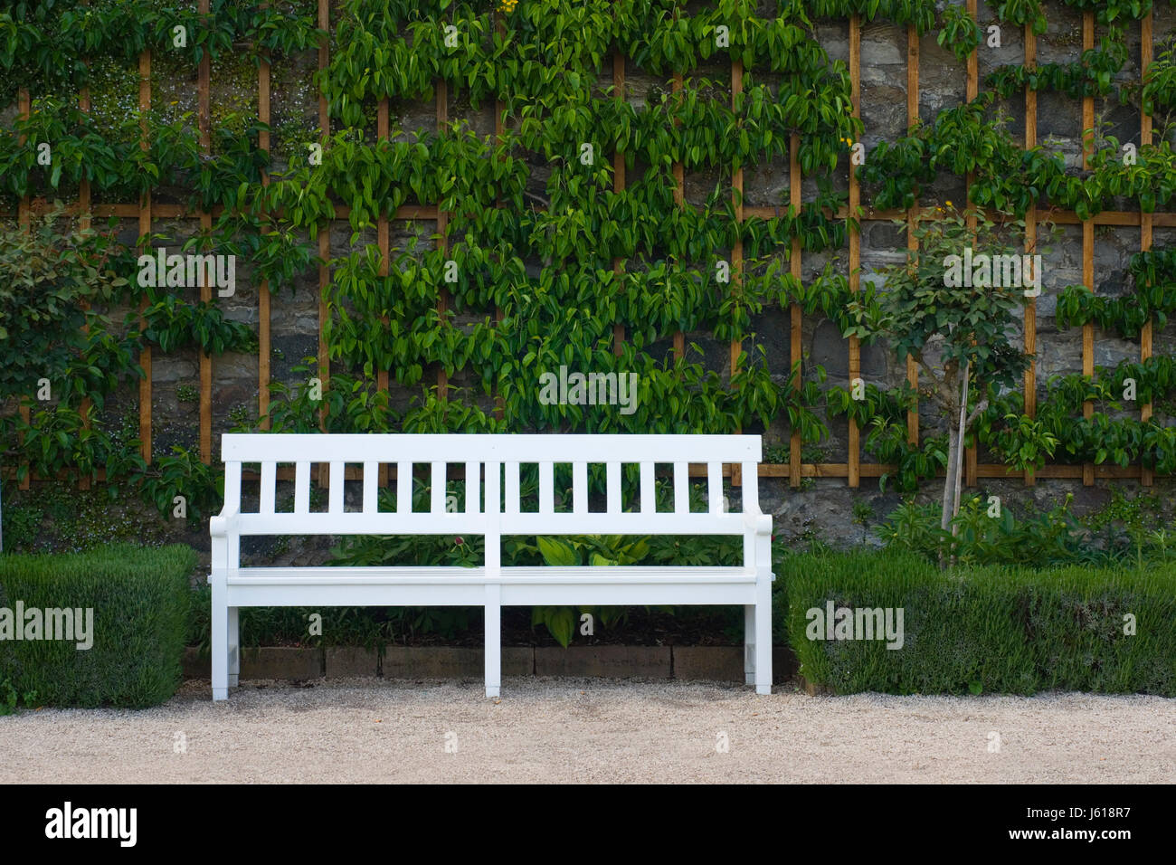 Spaliergehlz hi-res stock photography and images - Alamy